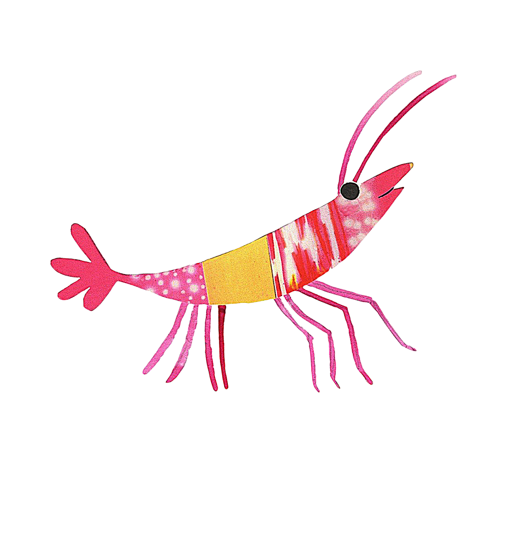 prawn party – Sarah Millin